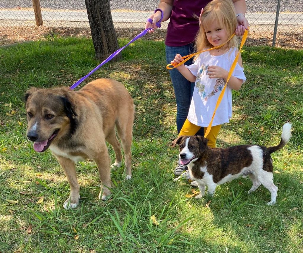 Donate - FamilyLink Kids at Legacy Ranch